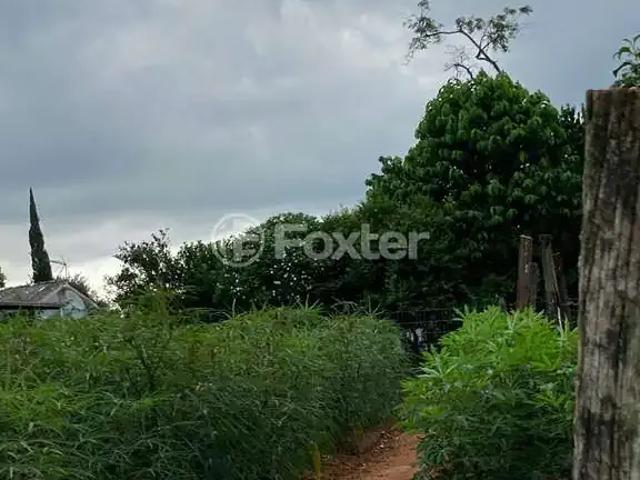 Terreno / Lote para Venda em Novo Hamburgo/RS Petrópolis