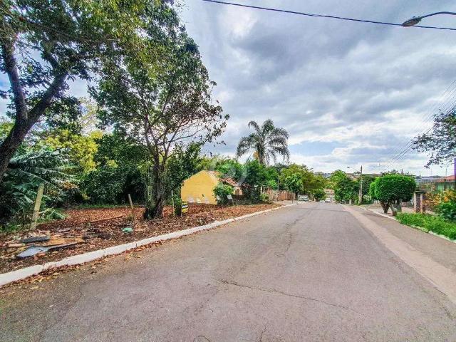 Terreno / Lote para Venda em Novo Hamburgo/RS Petrópolis