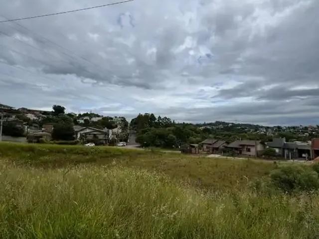 Terreno / Lote para Venda em Novo Hamburgo/RS Petrópolis