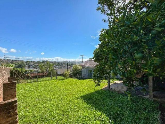 Terreno / Lote para Venda em Novo Hamburgo/RS Petrópolis