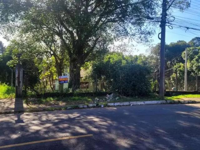 Terreno / Lote para Venda em Novo Hamburgo/RS Primavera