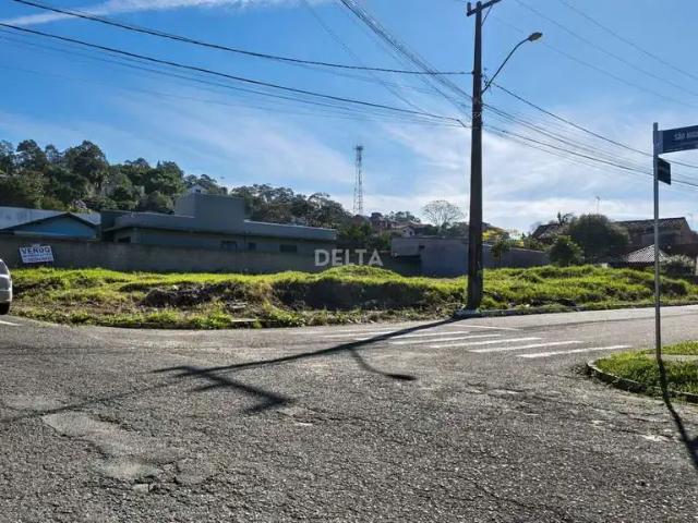 Terreno / Lote para Venda em Novo Hamburgo/RS Primavera