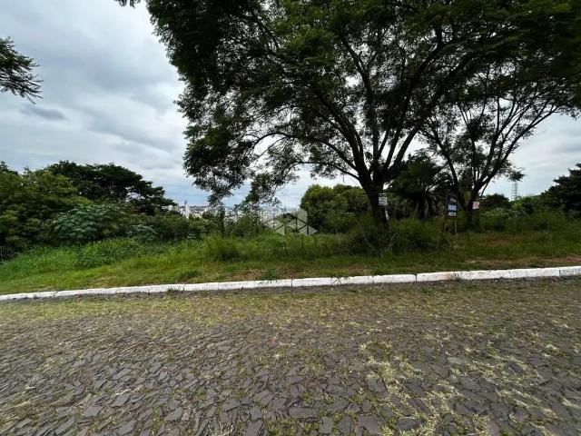 Terreno / Lote para Venda em Novo Hamburgo/RS Primavera