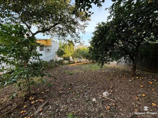 Terreno / Lote para Venda em Novo Hamburgo/RS Primavera
