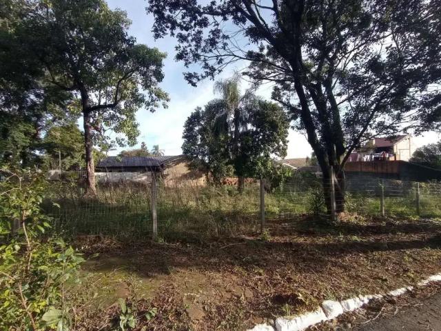 Terreno / Lote para Venda em Novo Hamburgo/RS Primavera