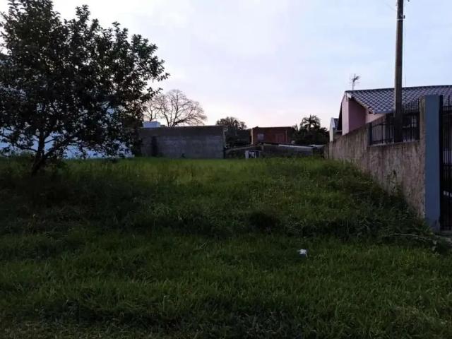 Terreno / Lote para Venda em Novo Hamburgo/RS Primavera