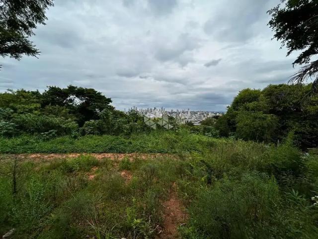 Terreno / Lote para Venda em Novo Hamburgo/RS Primavera