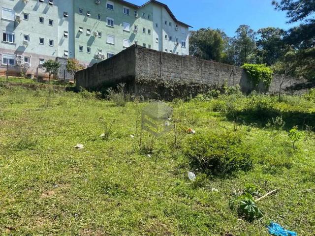 Terreno / Lote para Venda em Novo Hamburgo/RS Rondônia