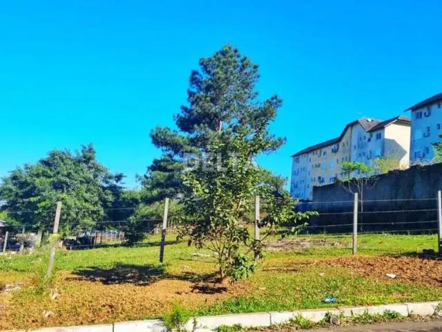 Terreno / Lote para Venda em Novo Hamburgo/RS Rondônia