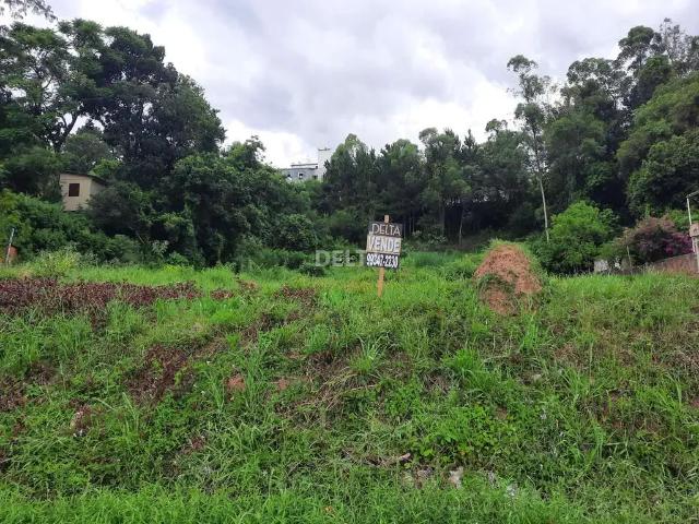 Terreno / Lote para Venda em Novo Hamburgo/RS Rondônia