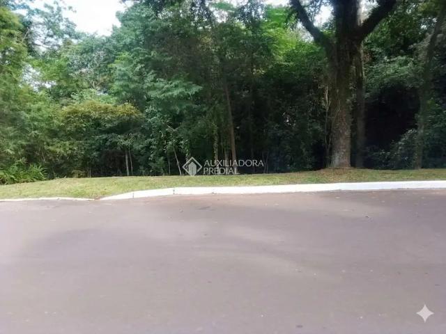 Terreno / Lote para Venda em Novo Hamburgo/RS Rondônia