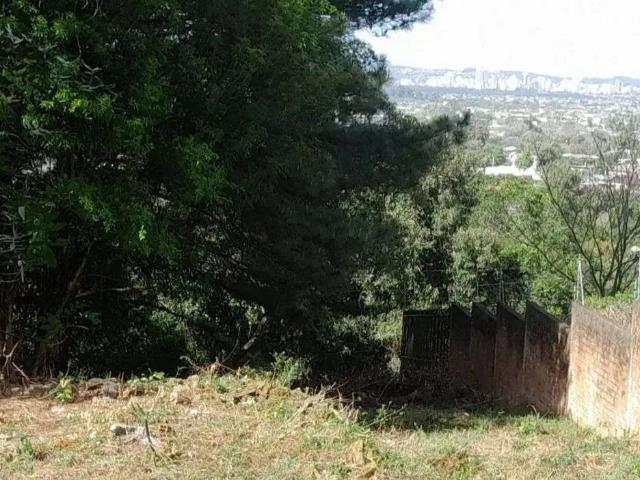 Terreno / Lote para Venda em Novo Hamburgo/RS Rondônia