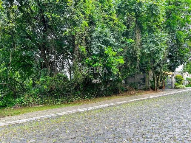Terreno / Lote para Venda em Novo Hamburgo/RS Rondônia