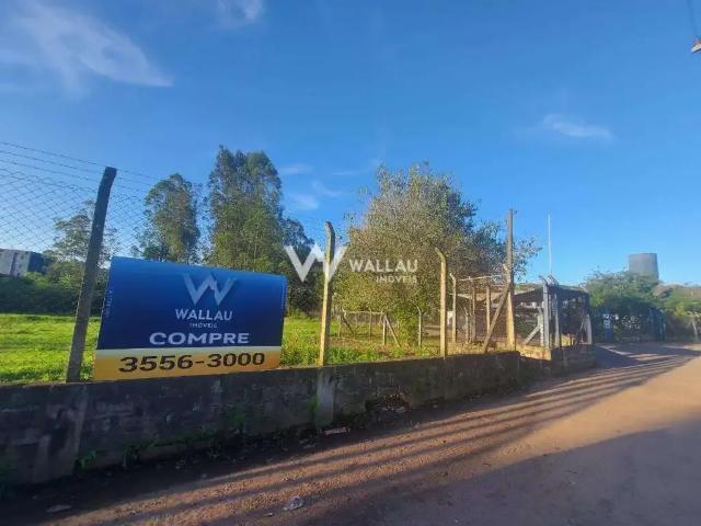 Terreno / Lote para Venda em Novo Hamburgo/RS Roselândia