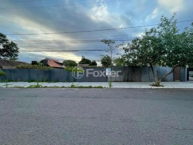 Terreno / Lote para Venda em Novo Hamburgo/RS Rio Branco