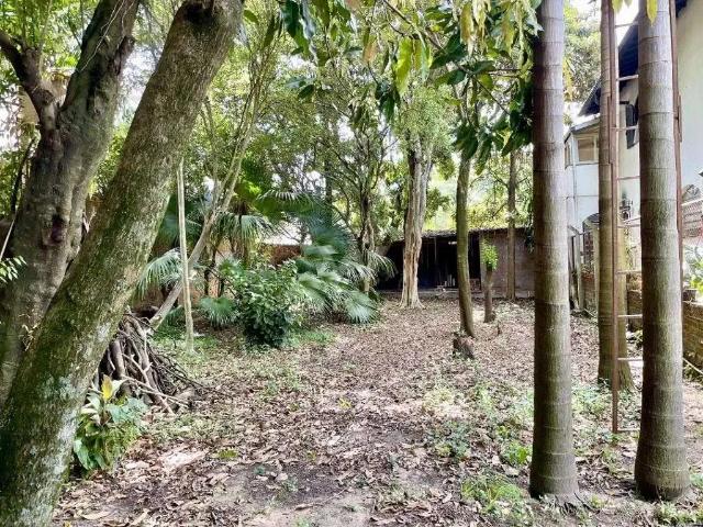 Terreno / Lote para Venda em Novo Hamburgo/RS Rio Branco
