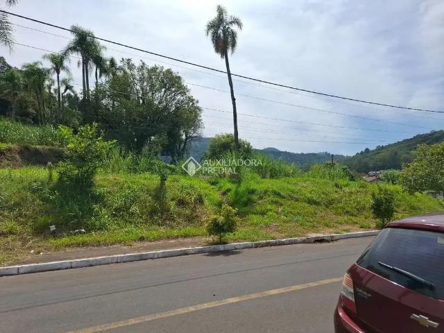 Terreno / Lote para Venda em Novo Hamburgo/RS Vila Diehl