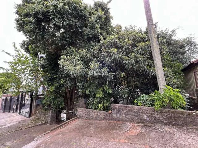Terreno / Lote para Venda em Novo Hamburgo/RS Vila Nova