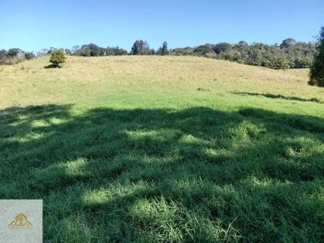 Terreno / Lote para Venda em Novo Horizonte/SC Centro