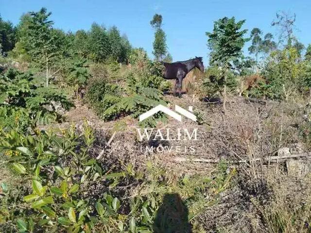 Terreno / Lote para Venda em Oliveira/MG Zona Rural