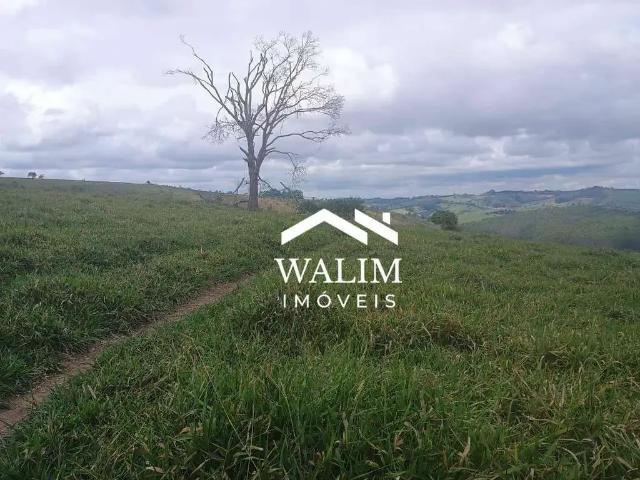 Terreno / Lote para Venda em Oliveira/MG Zona Rural