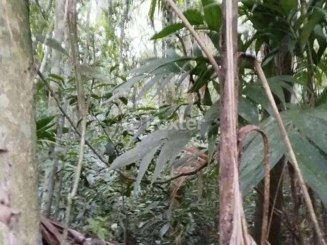 Terreno / Lote para Venda em Osório/RS Vila da Serra