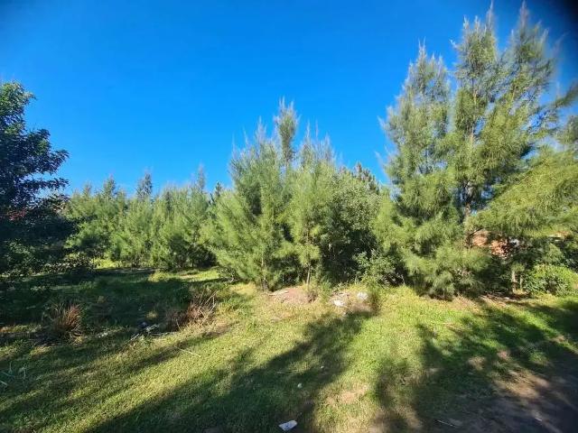 Terreno / Lote para Venda em Osório/RS Atlântida Sul Distrito
