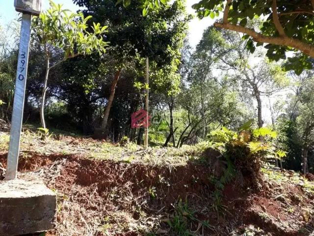 Terreno / Lote para Venda em Osório/RS Morro da Borússia