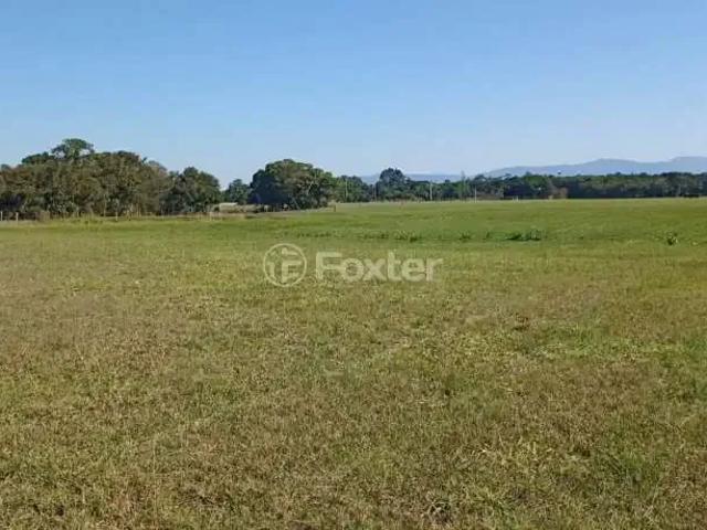 Terreno / Lote para Venda em Osório/RS Palmital