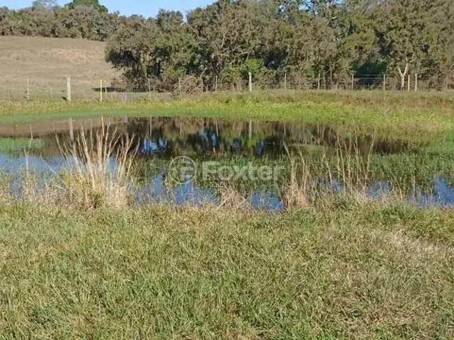 Terreno / Lote para Venda em Osório/RS Palmital