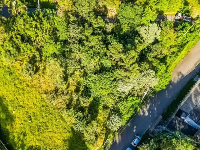 Terreno / Lote para Venda em Osasco/SP Três Montanhas