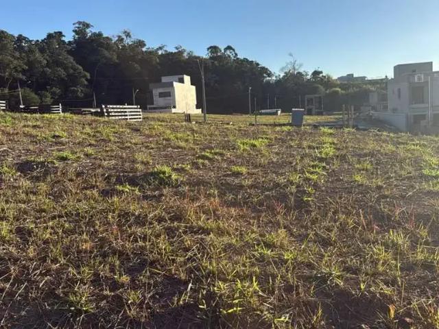 Terreno / Lote para Venda em Osasco/SP Jardim das Flores