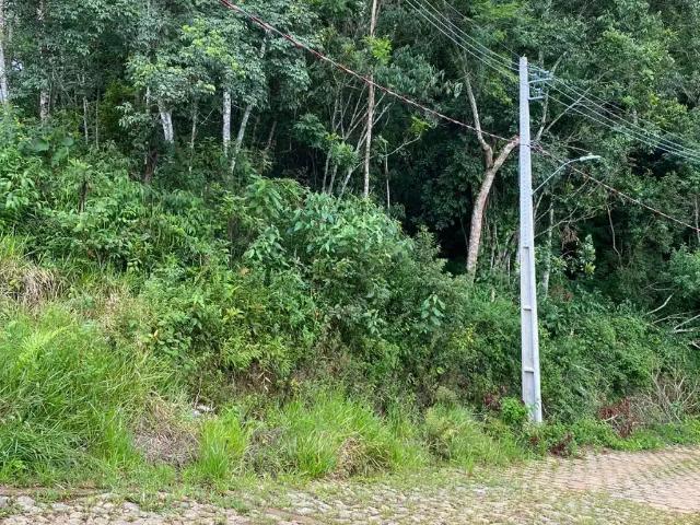 Terreno / Lote para Venda em Ouro Branco/MG Itatiaia