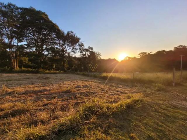 Terreno / Lote para Venda em Ouro Branco/MG Jardim Belo Vale