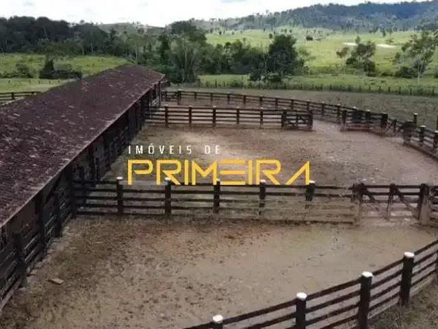 Terreno / Lote para Venda em Ouro Preto do Oeste/RO Zona Rural