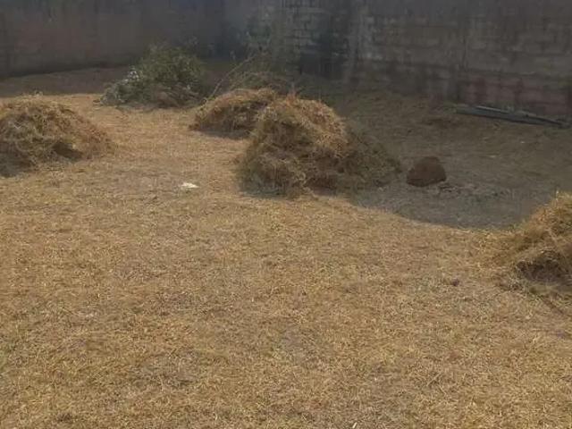 Terreno / Lote para Venda em Ouro Preto/MG Parque da Lagoa