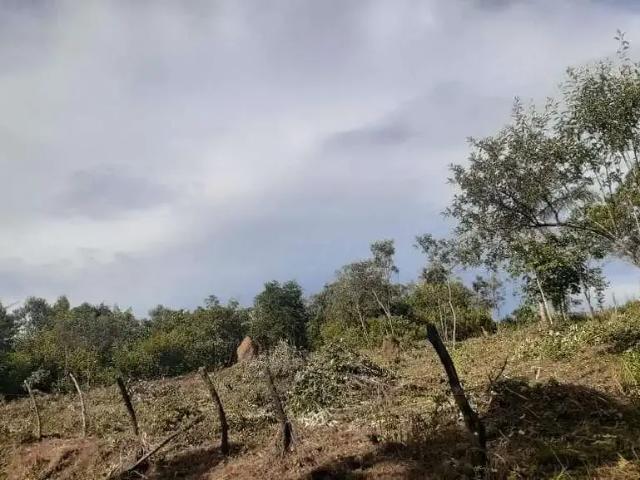 Terreno / Lote para Venda em Ouro Preto/MG São Bartolomeu
