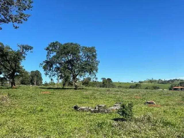 Terreno / Lote para Venda em Ouro Verde de Goiás/GO Centro