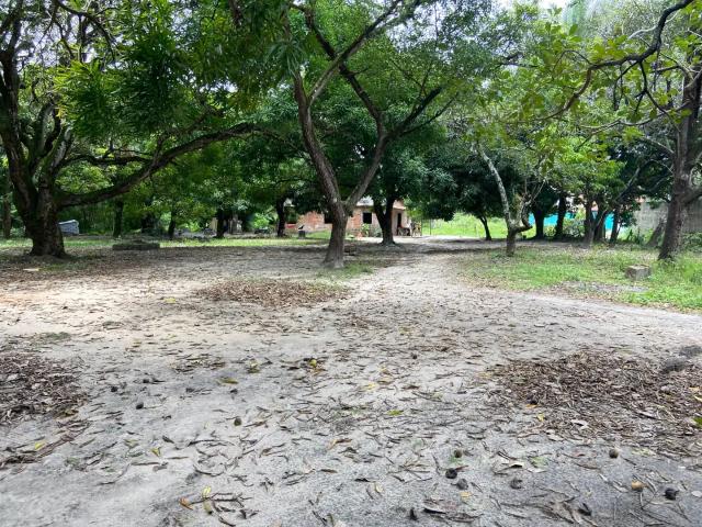 Terreno / Lote para Venda em Paço do Lumiar/MA Araçagy