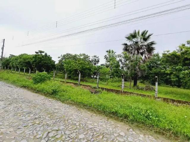 Terreno / Lote para Venda em Pacatuba/CE Pavuna