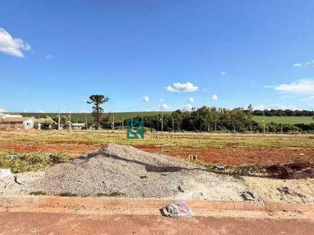 Terreno / Lote para Venda em Paiçandu/PR Jardim Morada do Sol