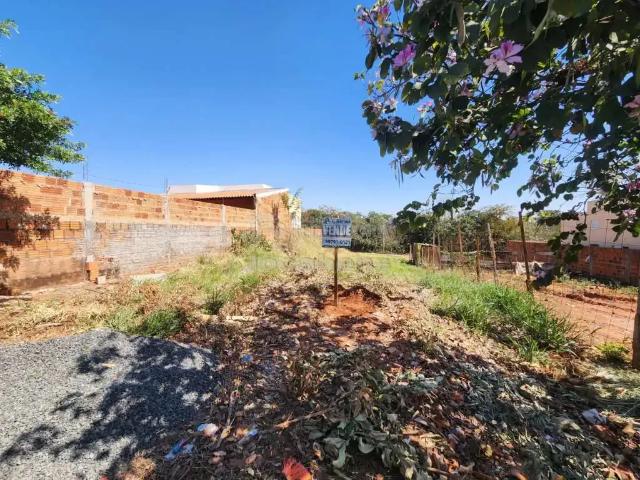 Terreno / Lote para Venda em Palestina/SP Centro