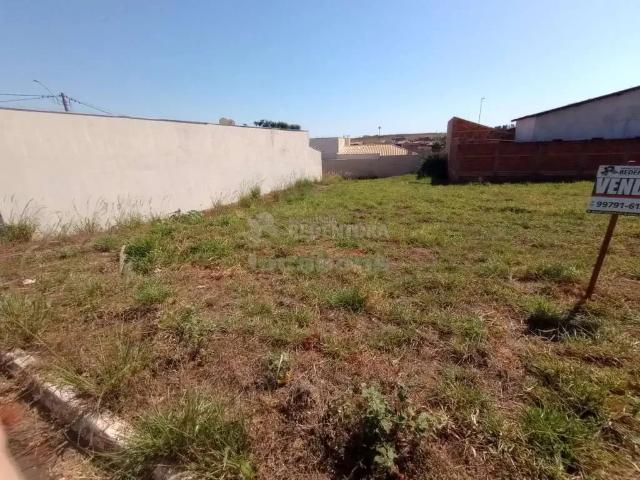 Terreno / Lote para Venda em Palestina/SP Centro