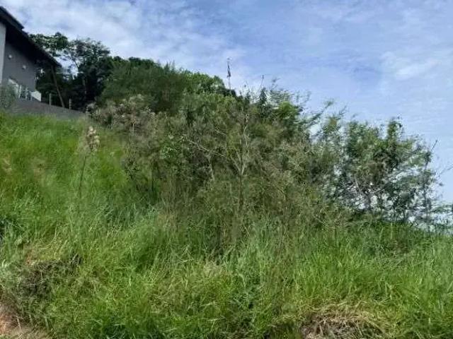 Terreno / Lote para Venda em Palhoça/SC Cidade Universitária Pedra Branca