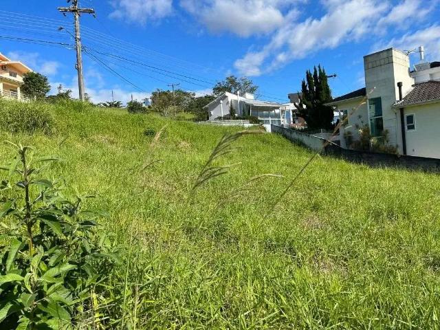 Terreno / Lote para Venda em Palhoça/SC Cidade Universitária Pedra Branca