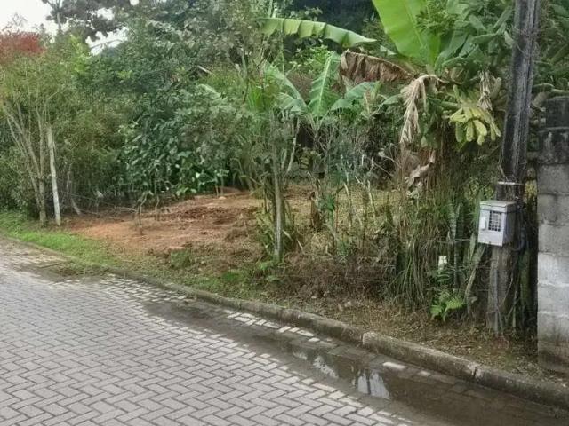 Terreno / Lote para Venda em Palhoça/SC Alto Aririu