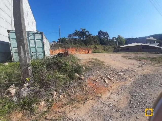 Terreno / Lote para Venda em Palhoça/SC Alto Aririu