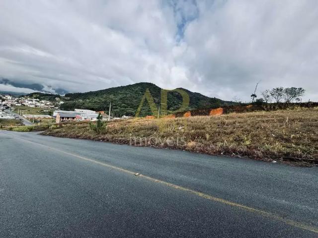 Terreno / Lote para Venda em Palhoça/SC Alto Aririu