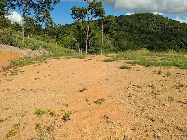 Terreno / Lote para Venda em Palhoça/SC Alto Aririu