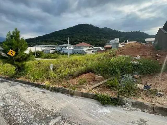 Terreno / Lote para Venda em Palhoça/SC Alto Aririu